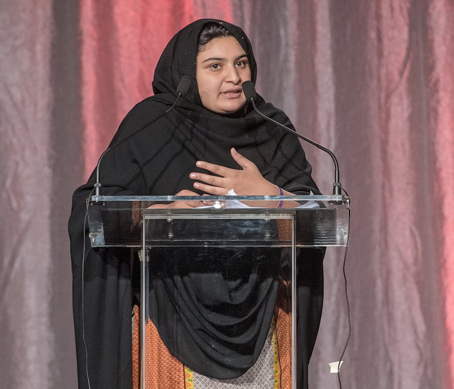 Past Awardees - 2015 - Muhammad Ali Center